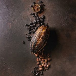 Bumi Cocoa Indonesia - Supplying Cocoa All Over The World